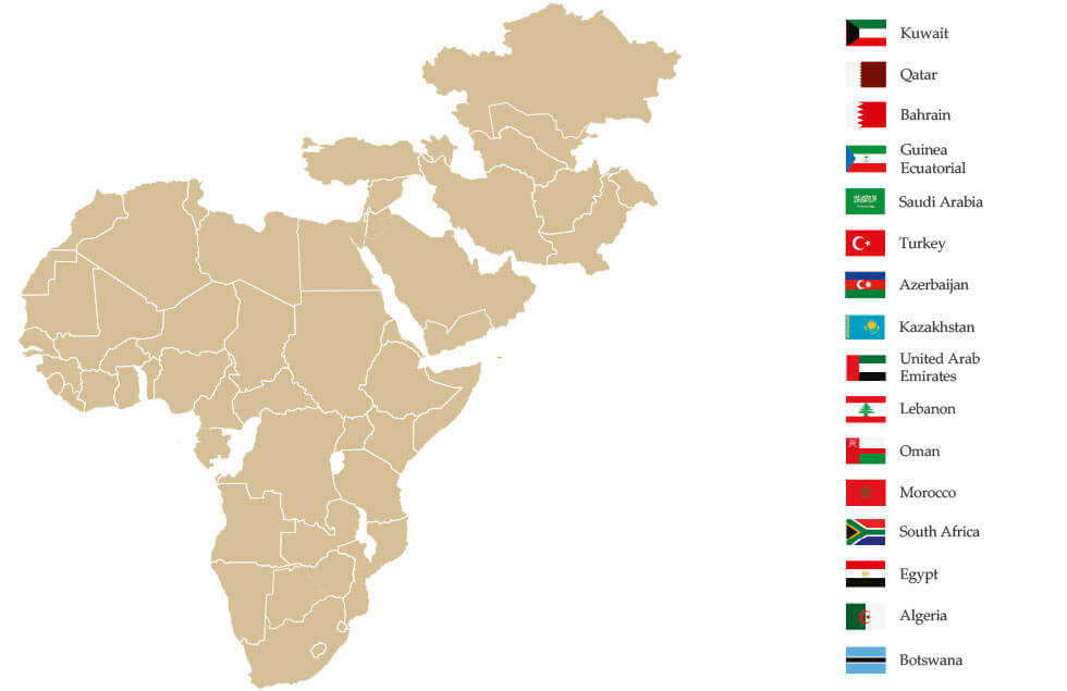 MEA map – Wirth Consulting