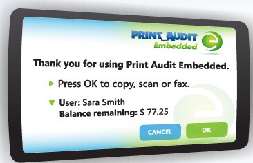 Print Audit – Wirth Consulting
