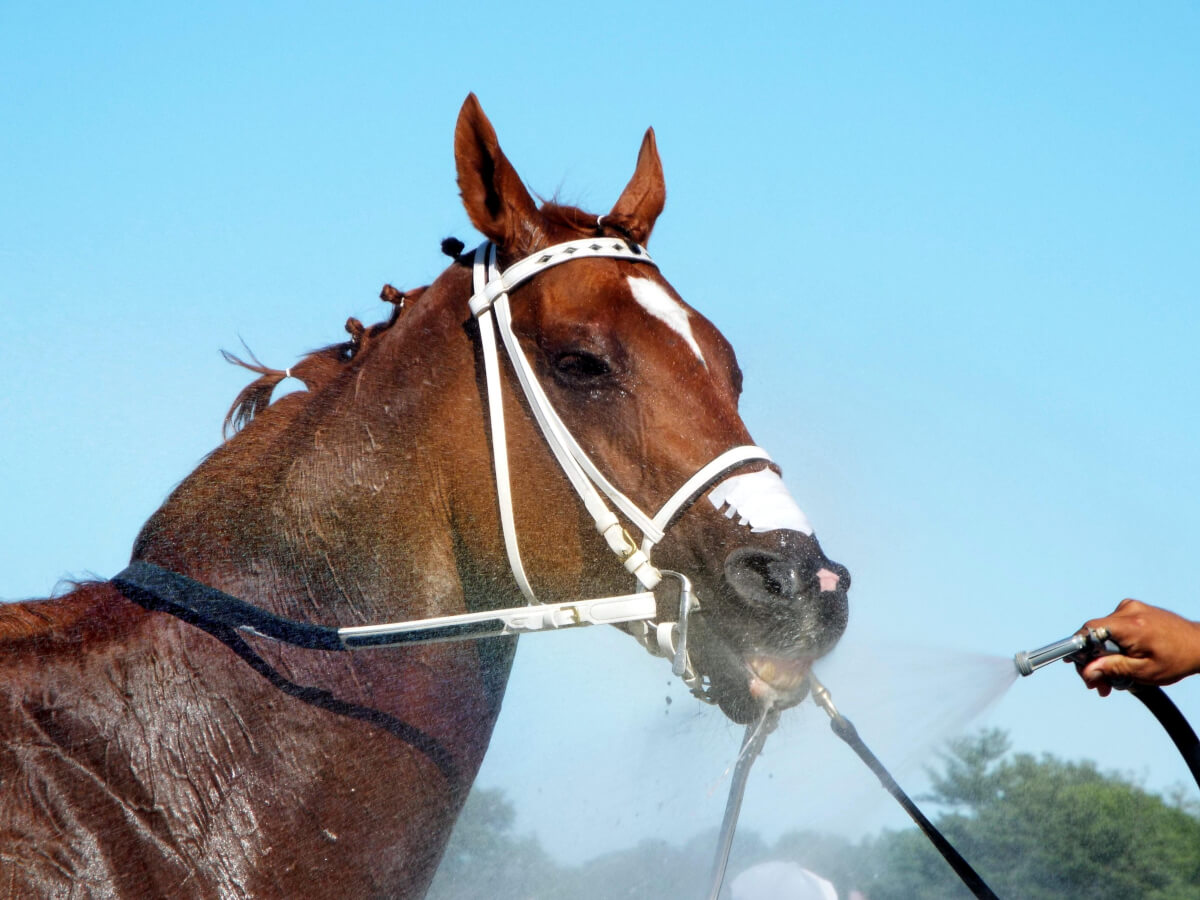 This Week in Imaging: No End in Sight for Clones Vs. OEM Printer ...